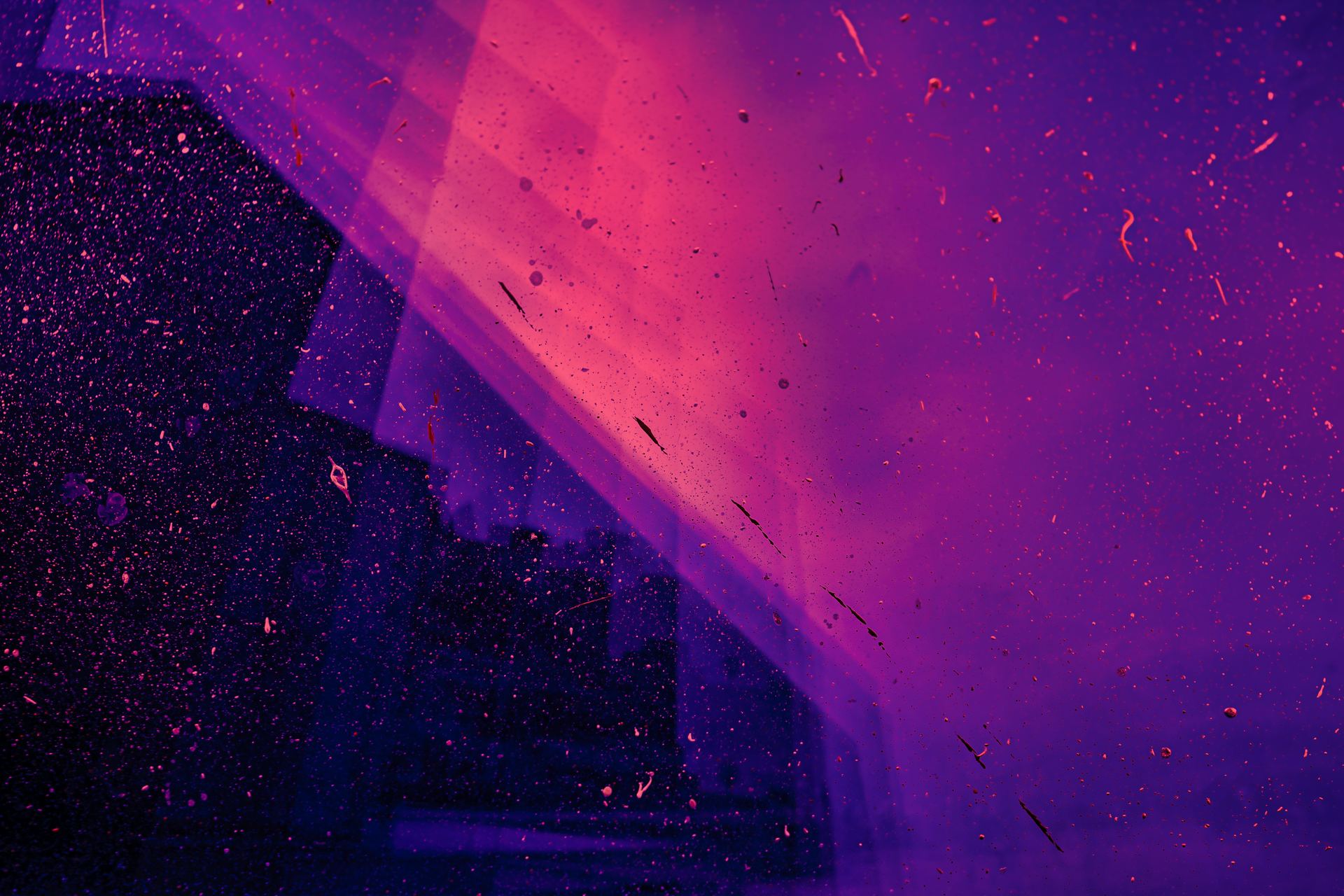 Heather Haigh | Muse